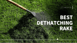 Best Dethatching Rake For All Your Lawn Care Needs - Archute