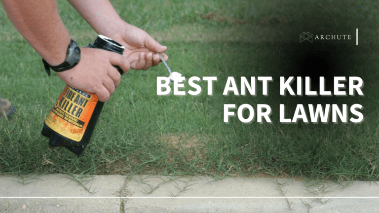Best Ant Killer For Lawns Or Yards For An Ant-Free Home - Archute