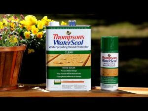 Thompson’s WaterSeal Wood Protector Review for Any Wood - Archute