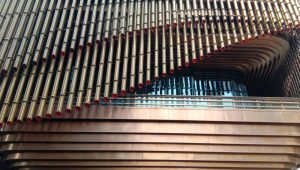 Building with Bamboo: Comprehensive Beginner’s Guide - Archute