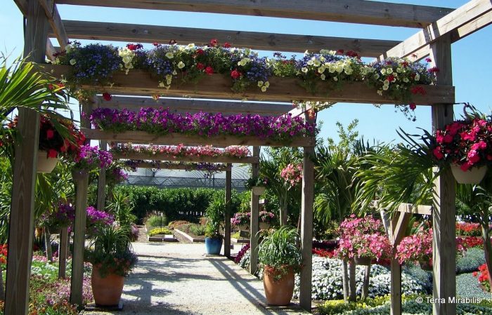 31 Best Pergola Ideas to Improve Your Outdoor Space - Archute