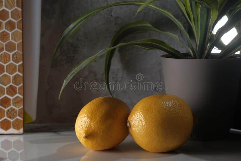 Lemon Decor Ideas: Lemon Kitchen Decor For All Seasons - Archute