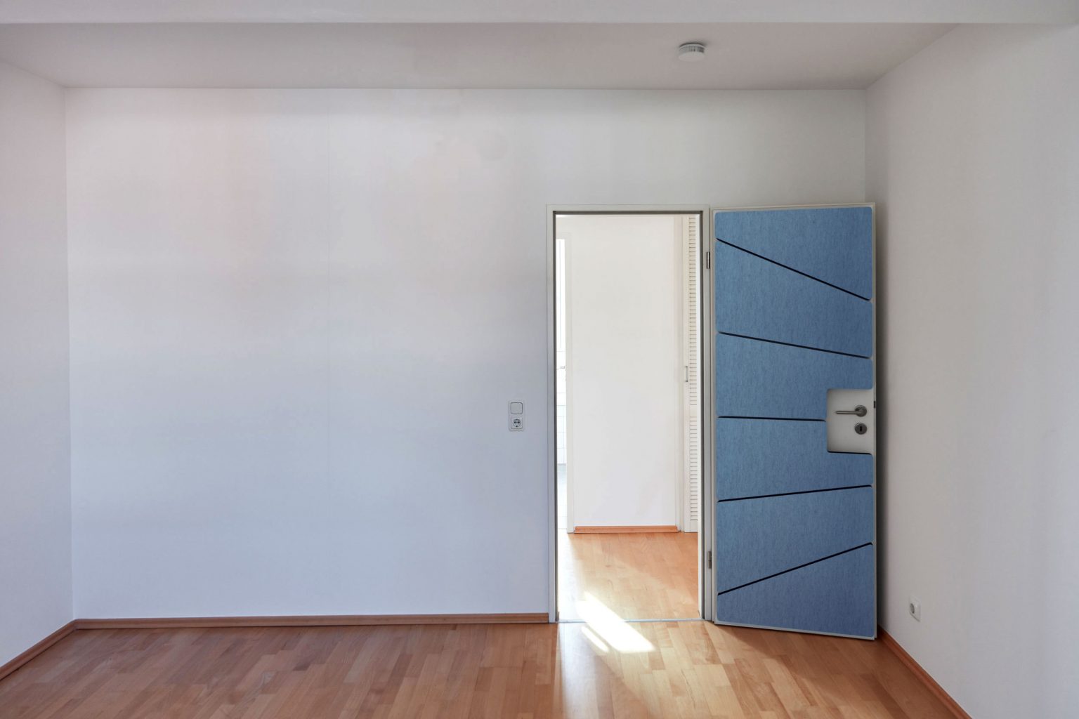 How to Soundproof a Door: 25 Methods That Work - Archute