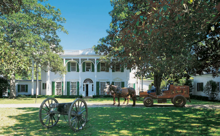 Eco-activist & Media Mogul: Where Does Ted Turner Live Now? - Archute