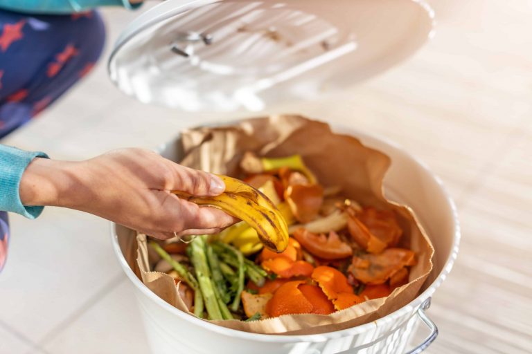 Best Countertop Compost Bin for Storing Kitchen Scraps - Archute