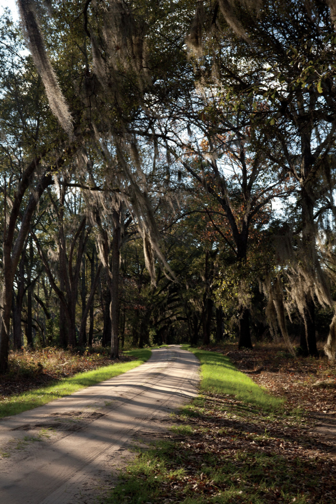 Eco-activist & Media Mogul: Where Does Ted Turner Live Now? - Archute