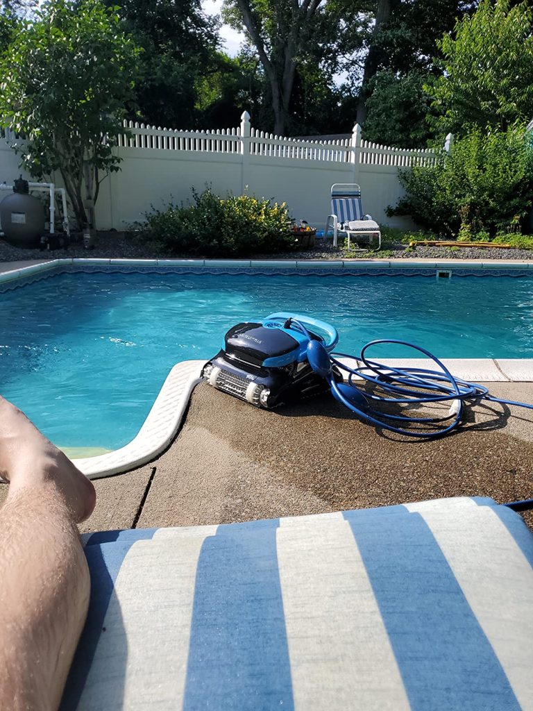 Best Dolphin Pool Cleaner For Sparkling Swimming Pools - Archute