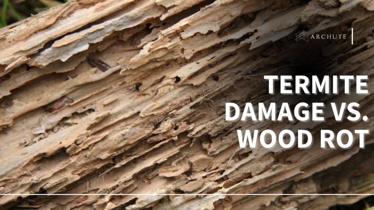 Termite Damage Vs. Wood Rot: Telling the Difference - Archute