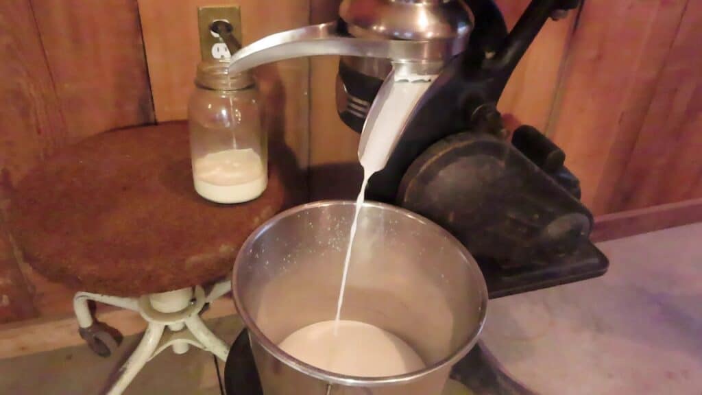 Best Cream Separator for Goat Milk-Updated Buying Guide - Archute