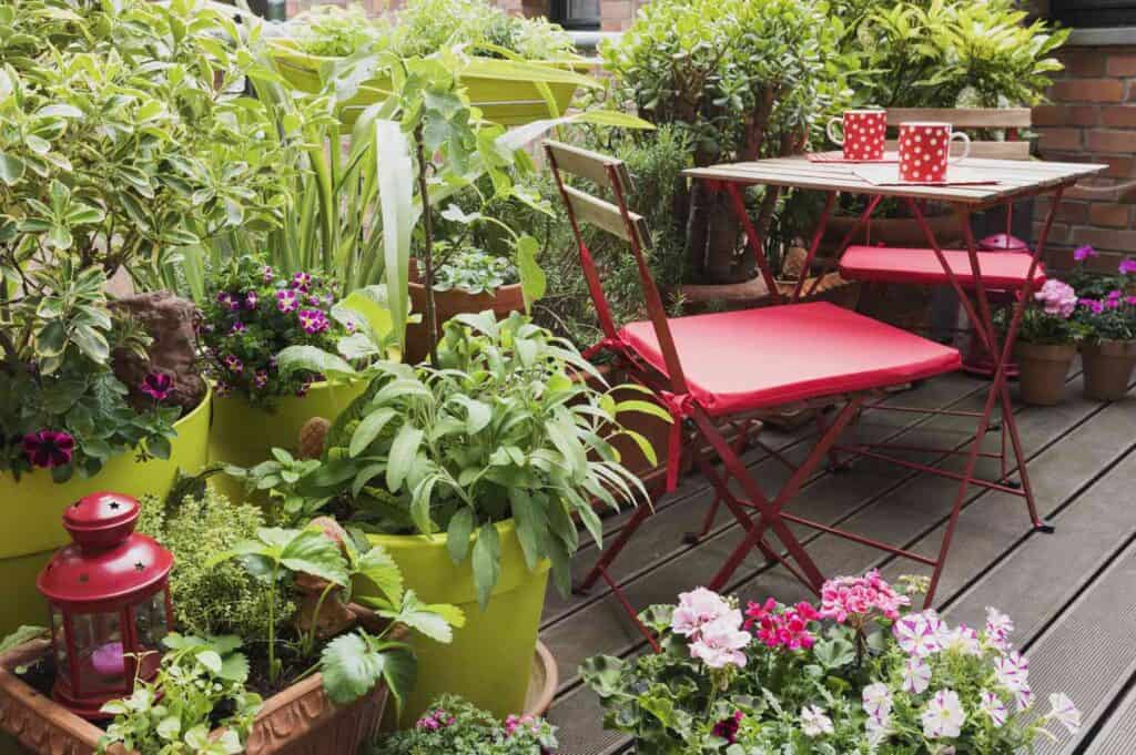 How To Arrange Potted Plants on a Patio - Archute