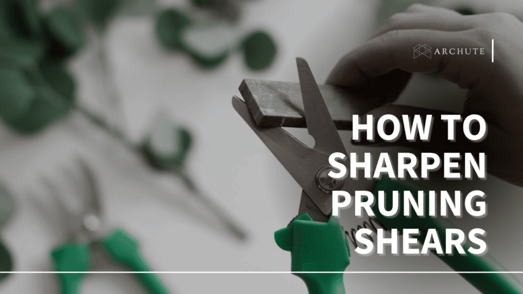 How to Sharpen Pruning Shears: Step-by-Step Guide - Archute