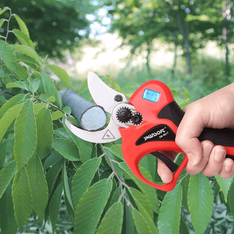 Best Cordless Pruning Shears in Every Gardener's Toolbox - Archute
