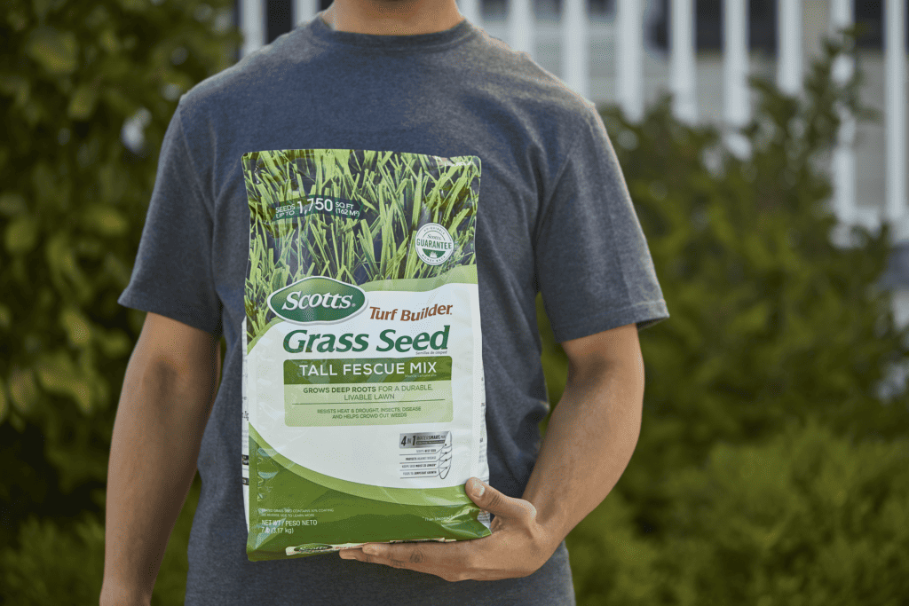 8 Best No Mow Grass Seeds You Can Plant Today Archute