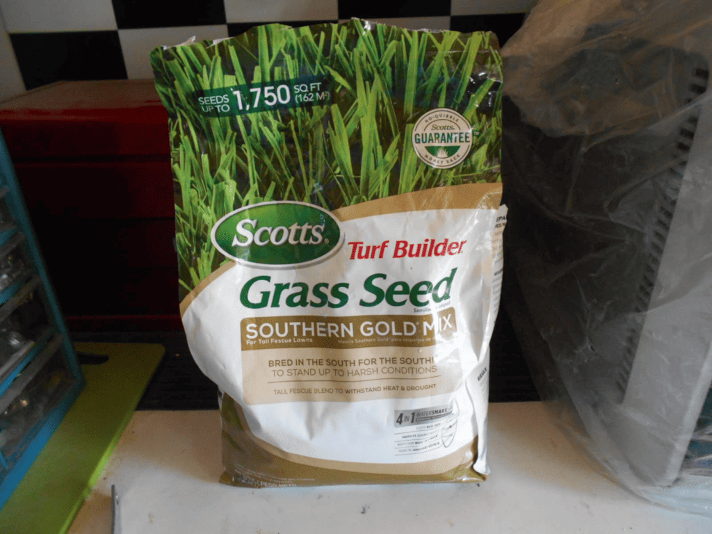 8 Best No Mow Grass Seeds You Can Plant Today - Archute