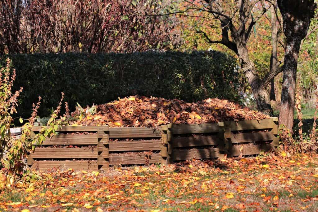 Yard Waste: Recycle, Compost, or Dispose? - Archute