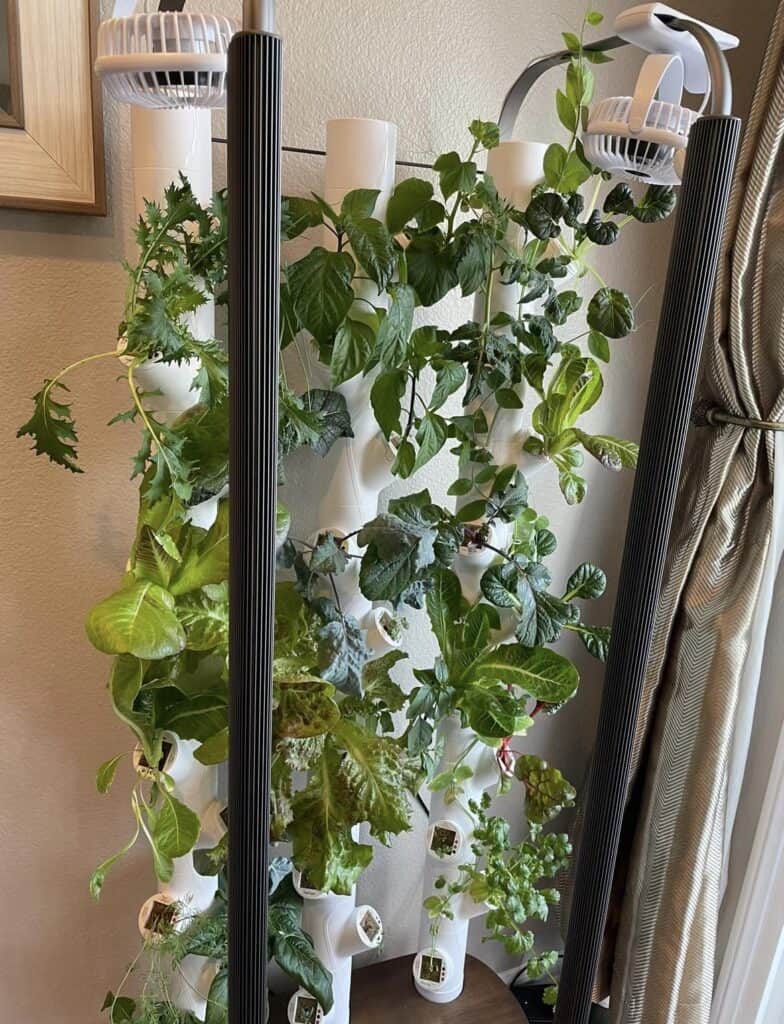 DIY Vertical Gardening Ideas for Limited Spaces - Archute