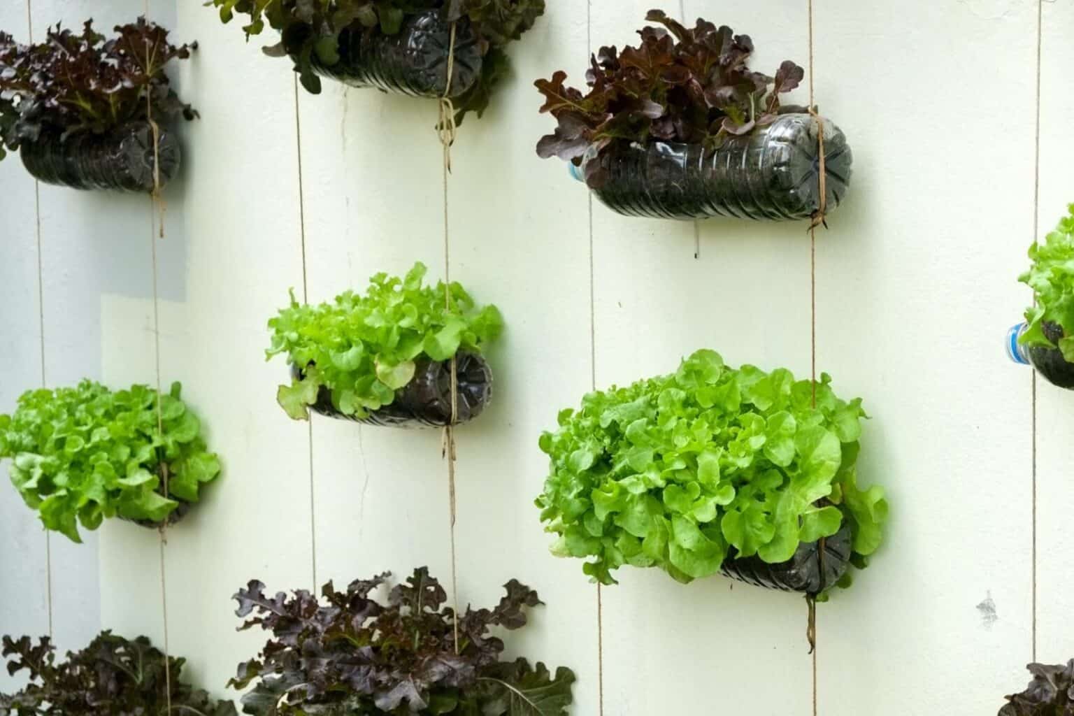 DIY Vertical Gardening Ideas for Limited Spaces - Archute