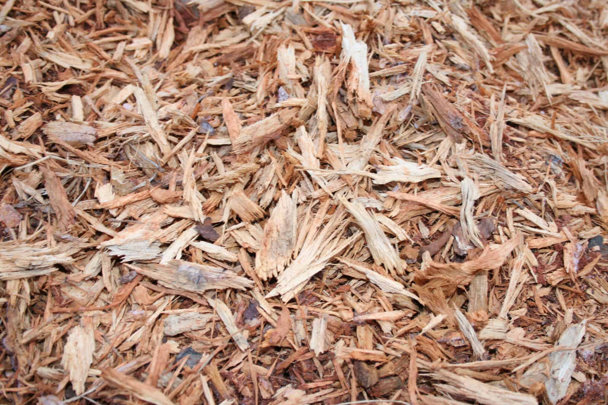 Garden Mulch Ideas: Add Beauty and Utility to Your Space - Archute