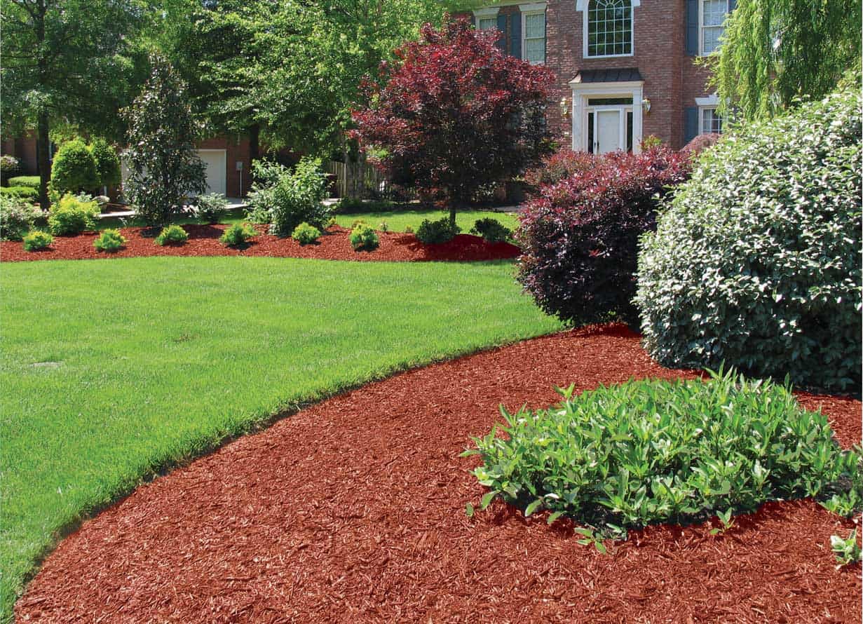 Garden Mulch Ideas: Add Beauty and Utility to Your Space - Archute