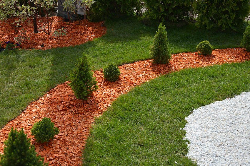 Garden Mulch Ideas: Add Beauty and Utility to Your Space - Archute